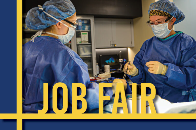 [Past Event] Health Careers/Nursing Job Fair › Events - Illinois ...
